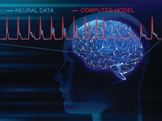 Rare Electrical Recordings of the Human Brain Give Detailed Picture of ... Rare Electrical Recordings of the Human Brain Give Detailed Picture of ...