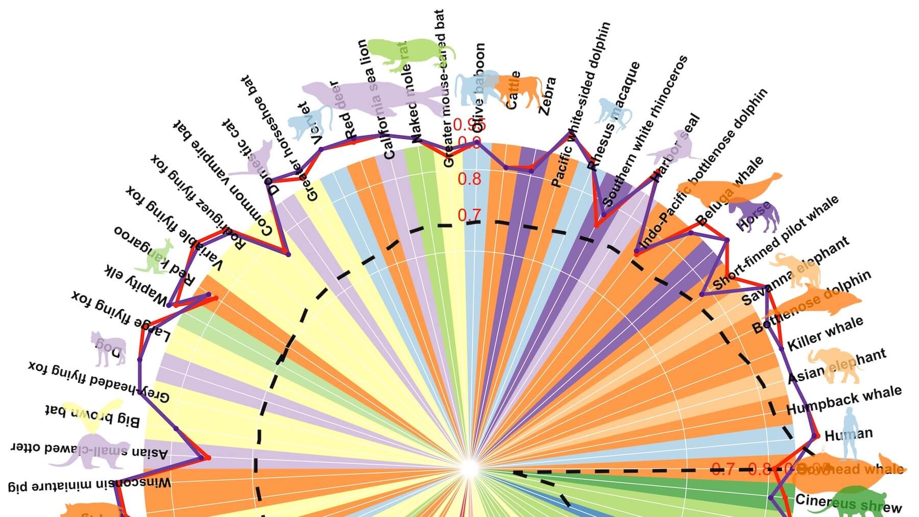 Aging Is Evolutionary According To A New Molecular ‘clock That